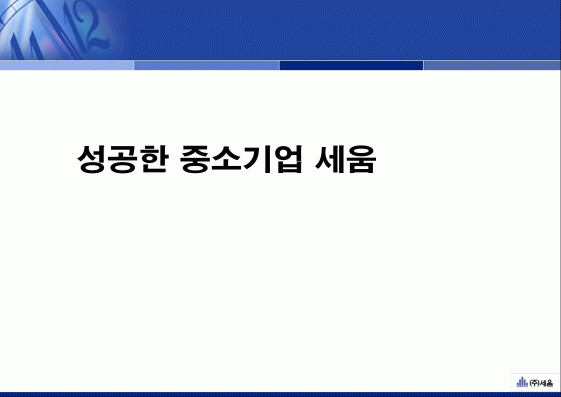 (중소기업)세움 프리젠테이션