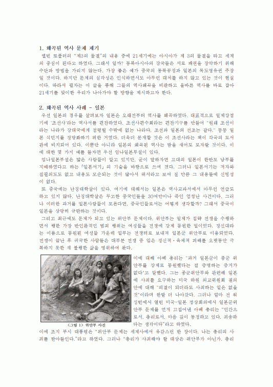 왜곡된 역사 레포트 자료