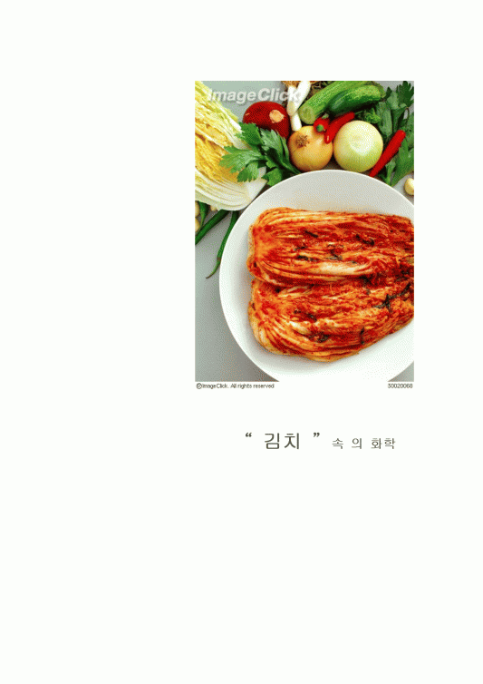 생활과관련된 화학중 (김치의 화학)