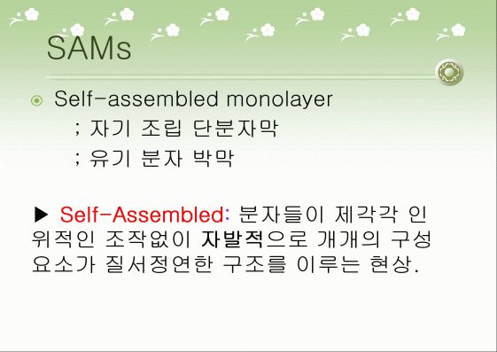 샘즈[SAMs]에 관해