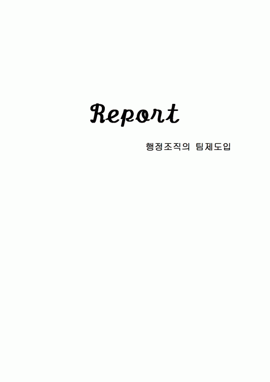 우리나라 행정조직의 팀제 도입과 도입사례 그리고 문제점