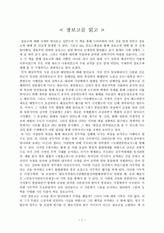 [독후감] 서평:장보고를 읽고
