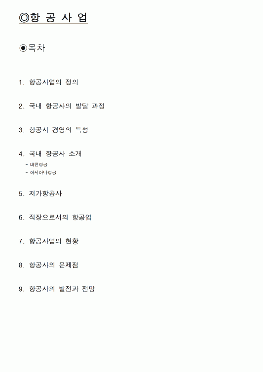 항공사업 레포트 자료
