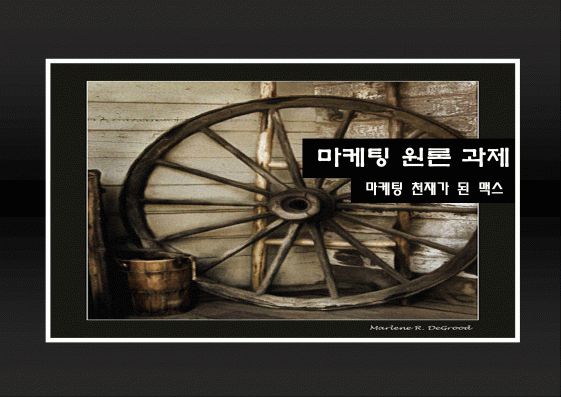 마케팅 천재가 된 맥스 [인문과학]