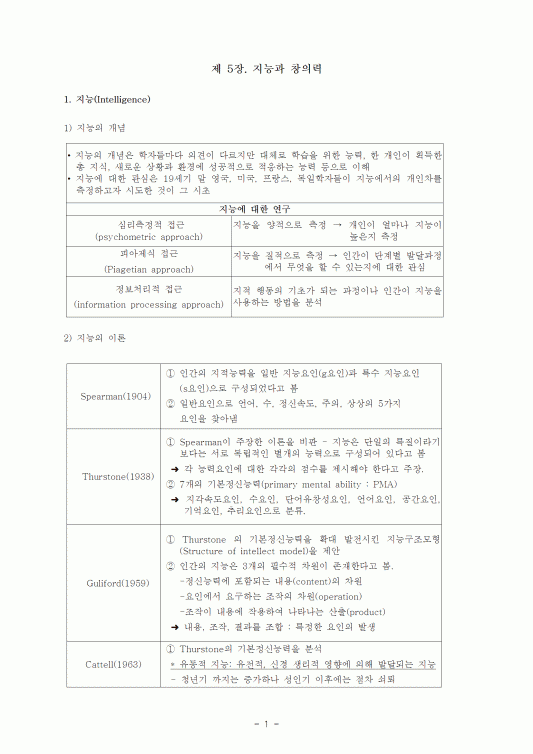 지능과 창의력 교육심리학 과제