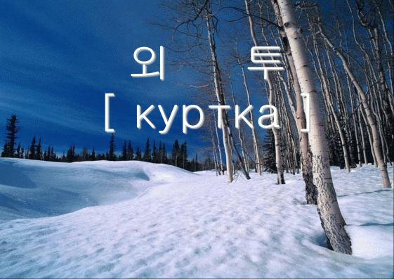 고골리 - 외투 (ppt)