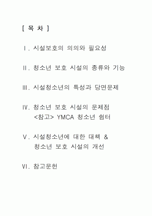 2007 청소년 시설보호에 관한 레포트.
