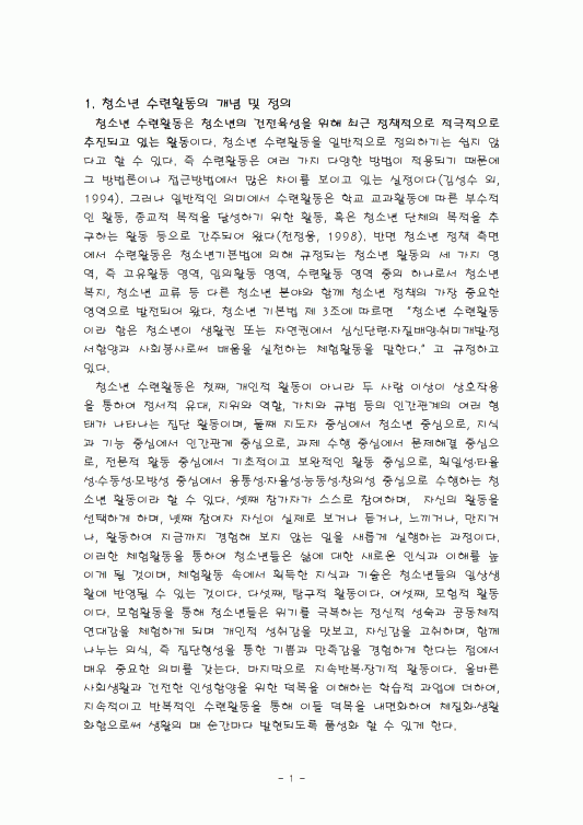 2007년 청소년 수련활동에 관한 레포트