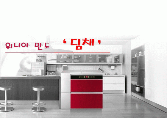 [마케팅관리] 위니아 만도 딤채의 마케팅 전략(PPT)