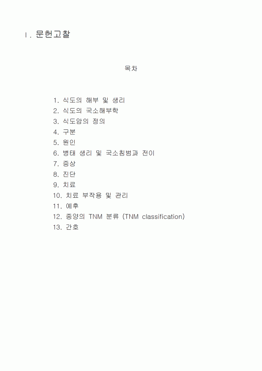 식도암 (esophageal cancer) 문헌고찰