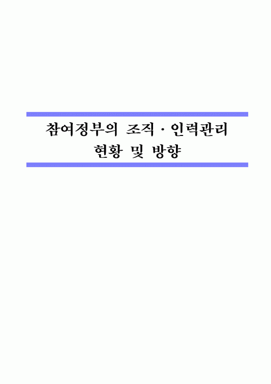 참여정부 인력조직운영의 실태분석