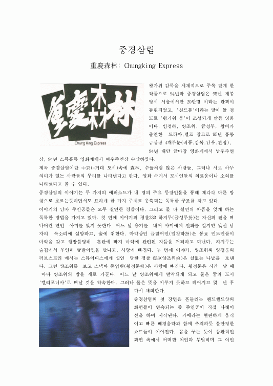 영화 중경삼림 비평문