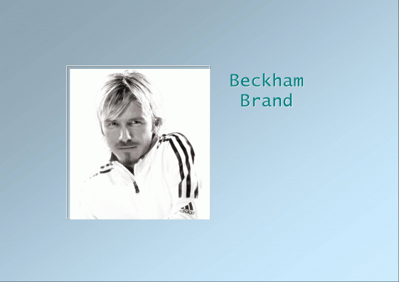 Beckham Brand 레포트 자료
