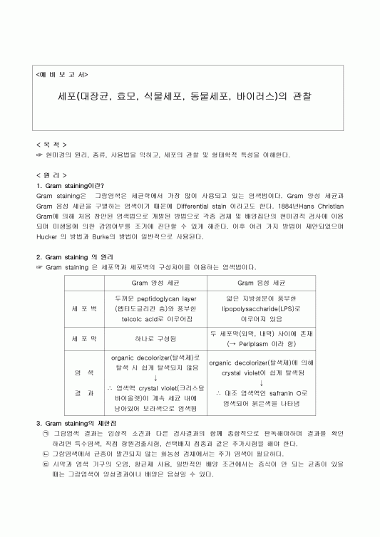 [공학]Gram staining (세포 관찰) - 예비.결과 보고서
