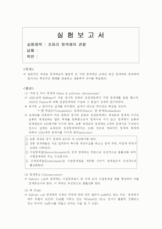 초파리 염색체의 관찰 - 결과보고서