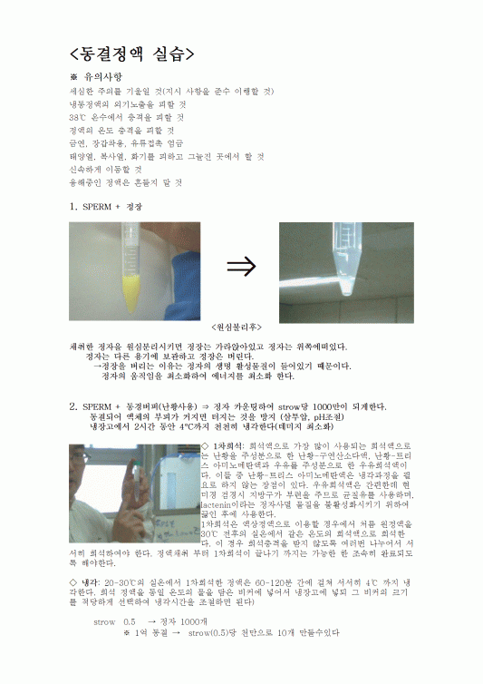정액동결 실습