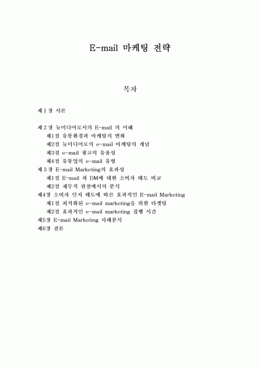 E-mail 마케팅 전략