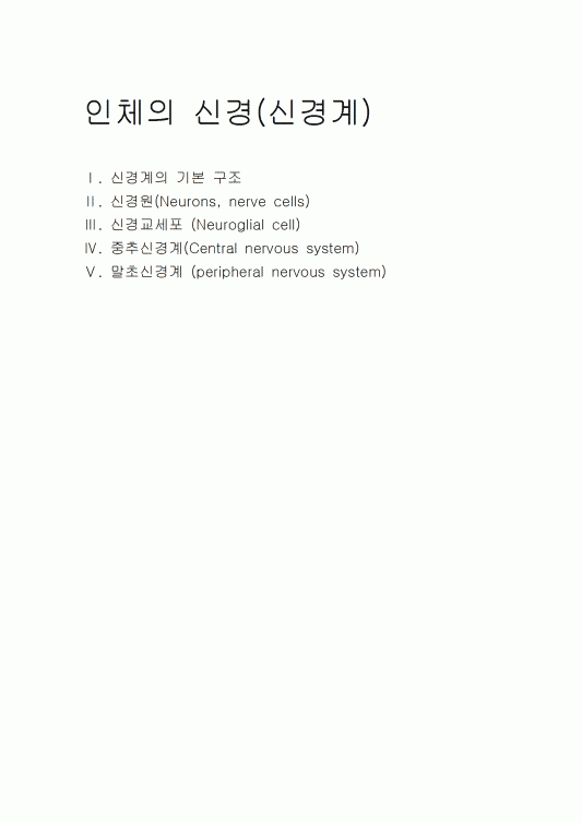 인체의 신경(신경계)