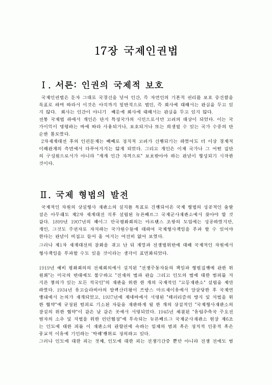 국제인권 요약 정리(국제법)