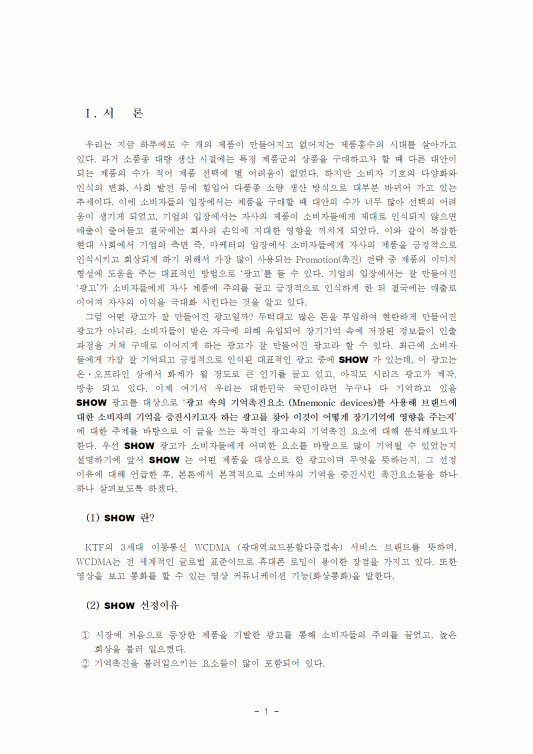 Show 광고분석 - 소비자 기억에 미치는 영향
