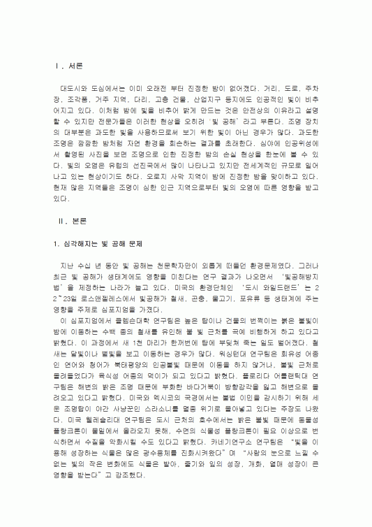 빛의 또 다른 얼굴 빛 공해