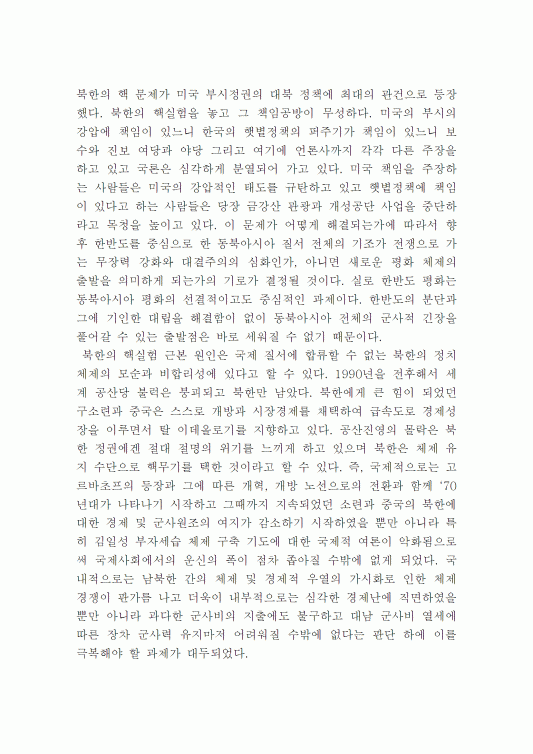 [인문과학] 북한의 핵문제