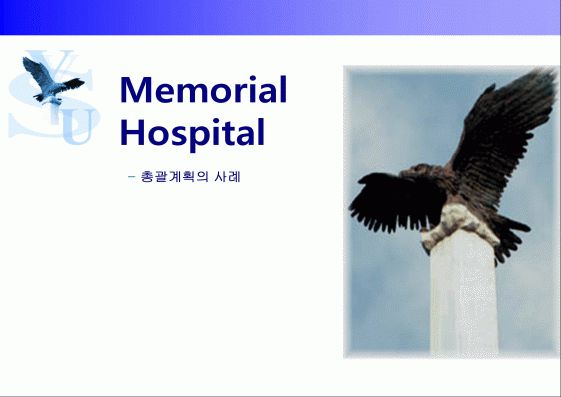총괄계획-메모리얼병원