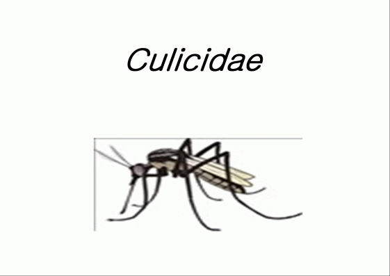 모기의생활사