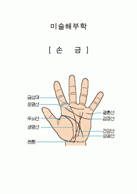미술해부학 레포트 자료