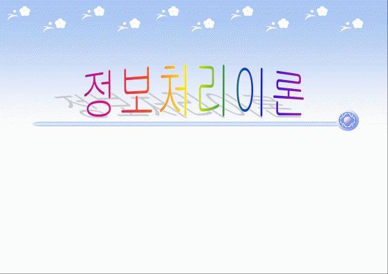 정보처리이론 (발표용-PPT)