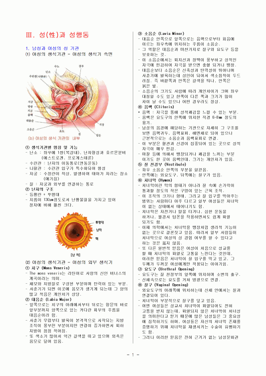 [분석/조사] 성과 사랑