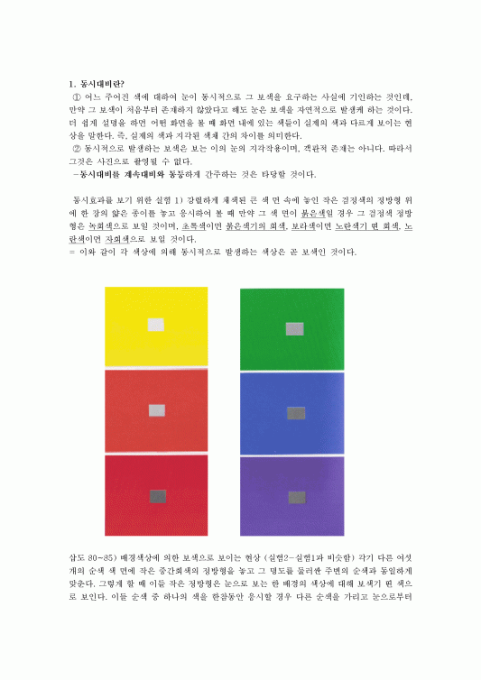 동시대비 레포트 자료