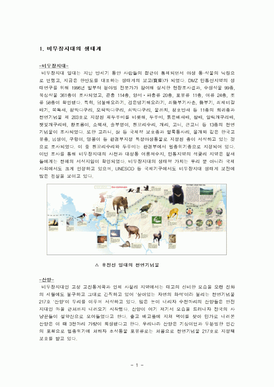 DMZ의 생태계 레포트 자료