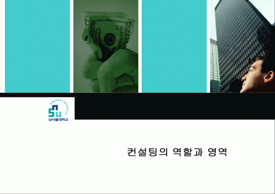 컨설팅의 역할과 영역