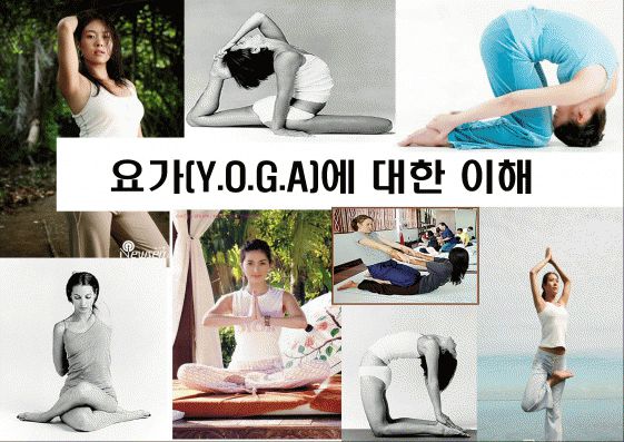 요가(Y.O.G.A)에 대한 이해