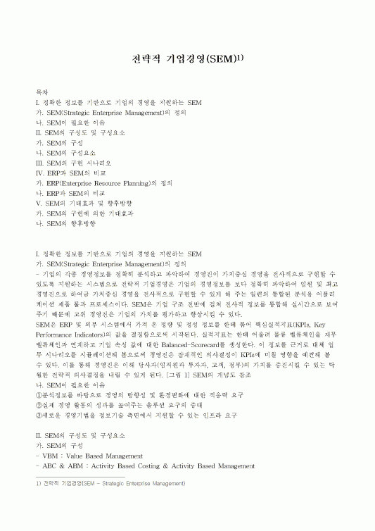 전략적 기업경영(SEM)