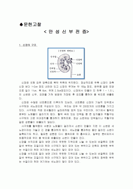 만성신부전(hronic Renal Failure)케이스 스터디