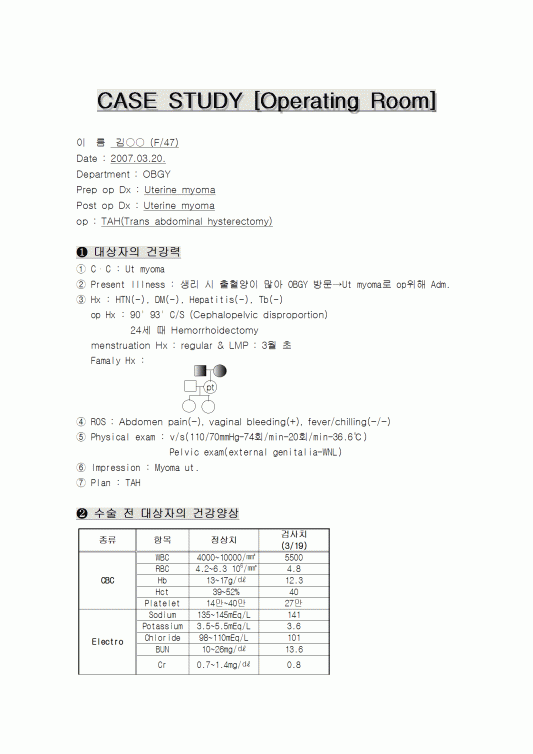 수술실 케이스-자궁적출술