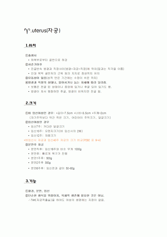 자궁(uterus) 레포트 자료