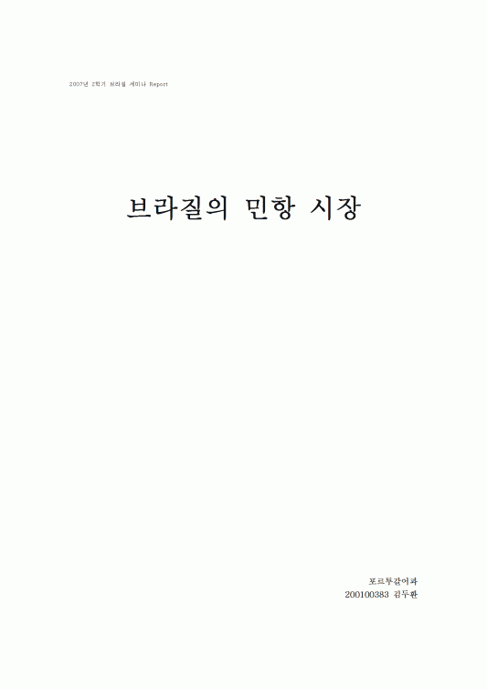 브라질의 민항시장
