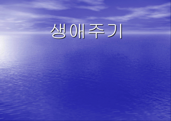생애주기와 여가활동에 대한 발표자로 파워포인트