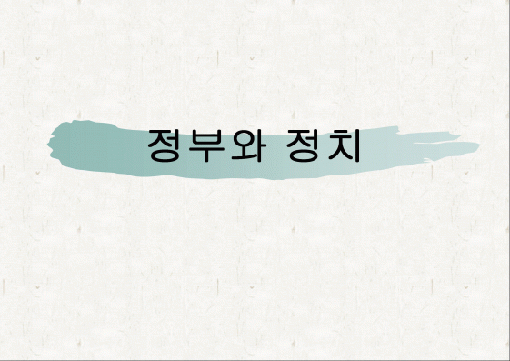 [사회과학] 정부와 정치