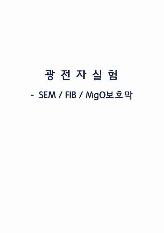sem 실험 레포트 FIB MgO보호막