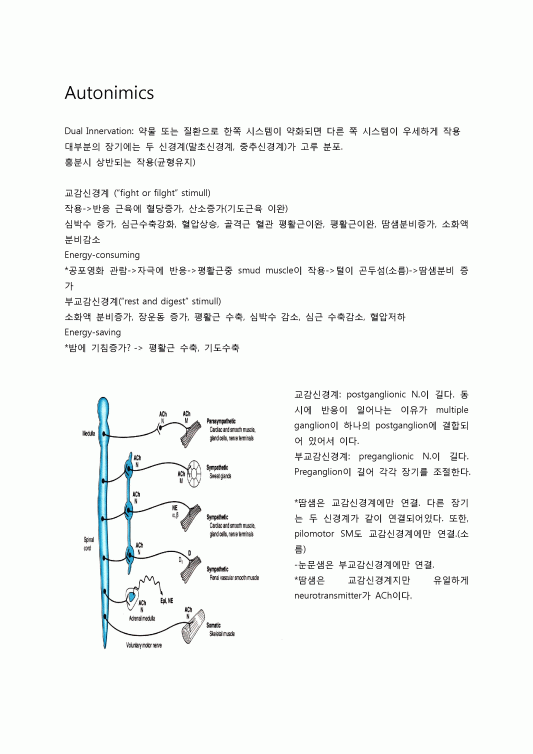 Autonimics 레포트 자료