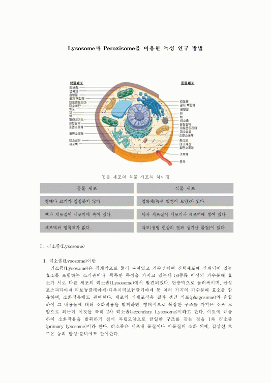 Lysosome과 Peroxisome을 이용한 독성 연구 방법