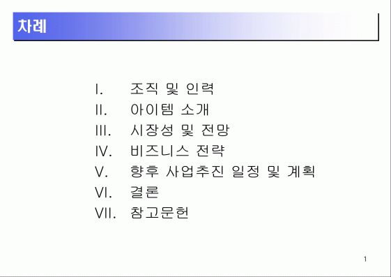 가상 오프라인+온라인 사업보고서