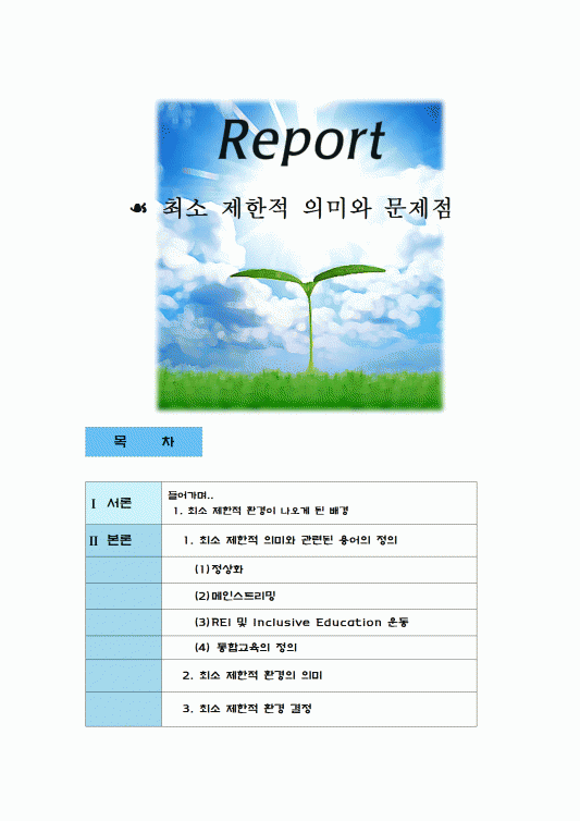 최소 제한적 의미와 문제점