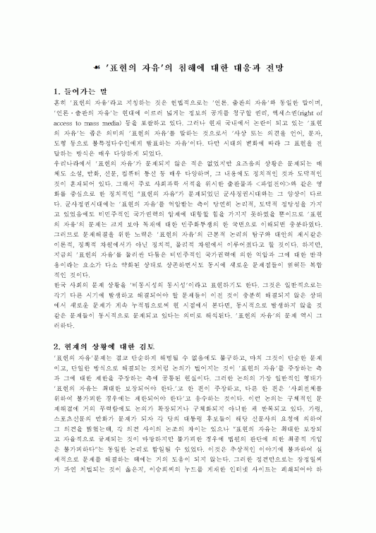 표현의 자유의 침해에 대한 대응과 전망