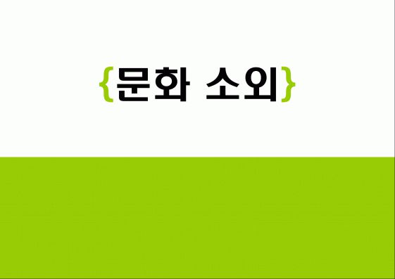 문화 소외 레포트 자료