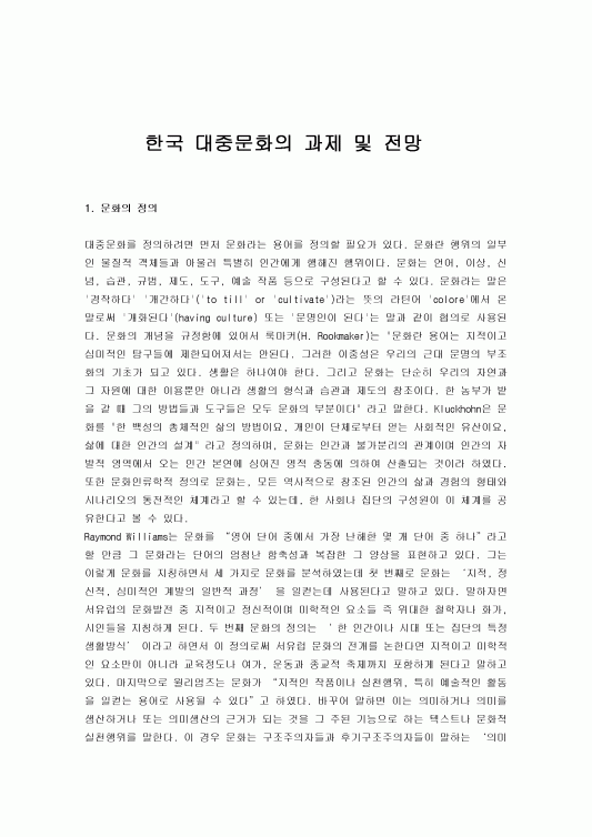 한국 대중문화의 과제 및 전망